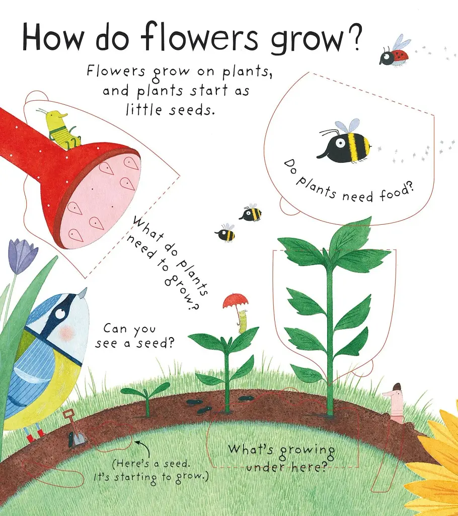 Lift-the-Flap First Questions & Answers: How Do Flowers Grow? купити у ...